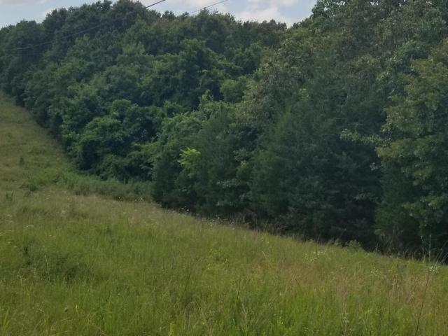 Lots and Land: MLS #60326