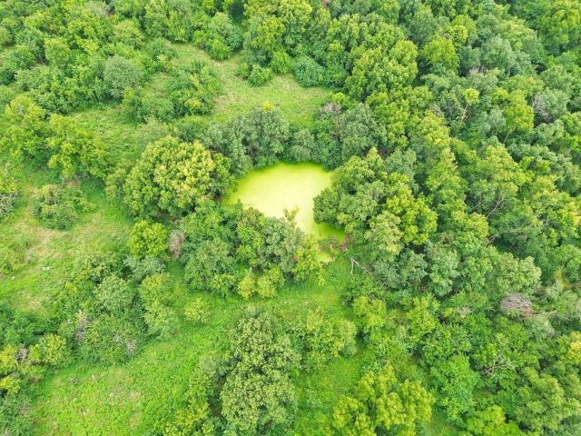Lots and Land: MLS #60329