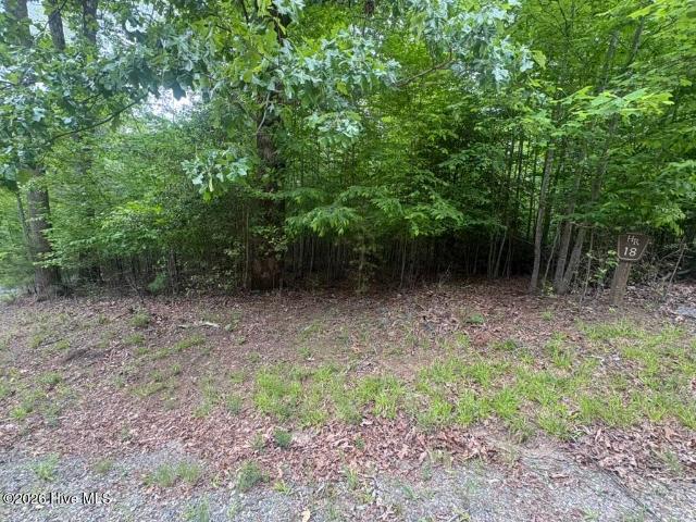 Lots and Land: MLS #100580