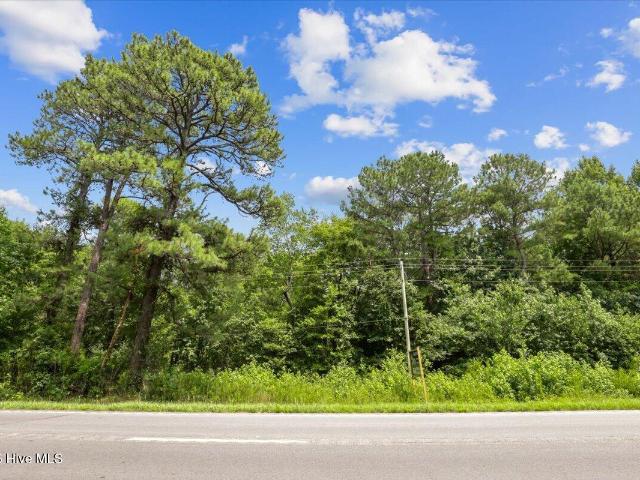 Lots and Land: MLS #100591