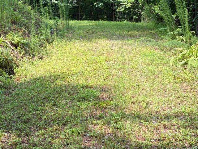 Lots and Land: MLS #100592