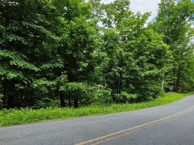 Lots and Land: MLS #1006