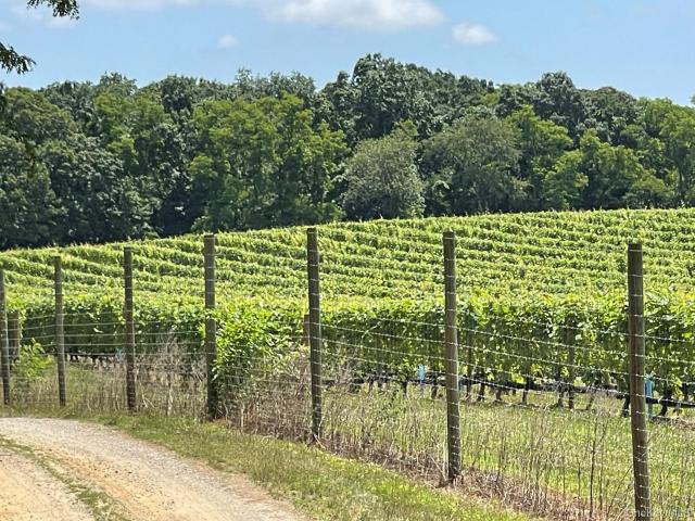 Lots and Land: MLS #1033