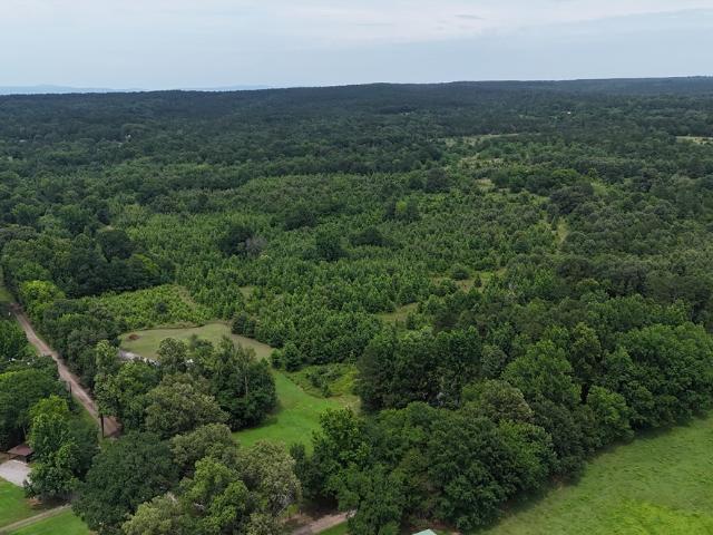 Lots and Land: MLS #1355