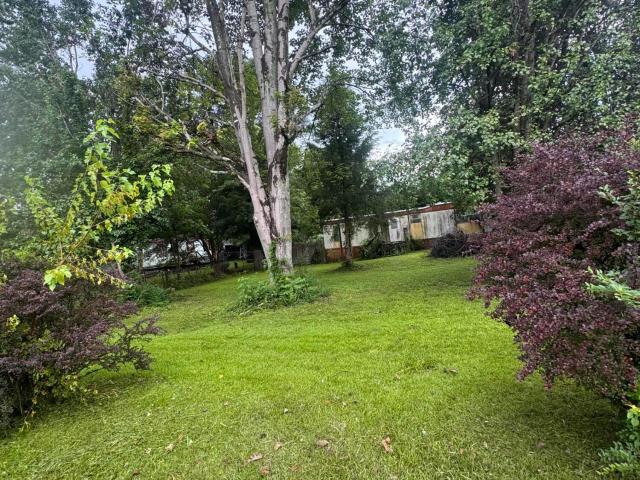 Lots and Land: MLS #1539