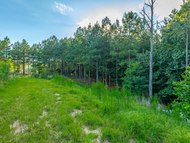 Lots and Land: MLS #1539