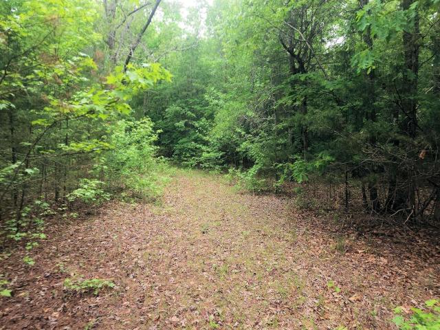Lots and Land: MLS #1589