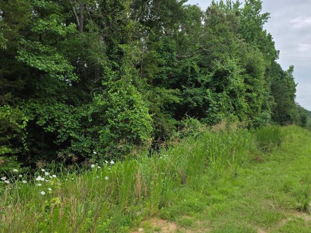 Lots and Land: MLS #1596