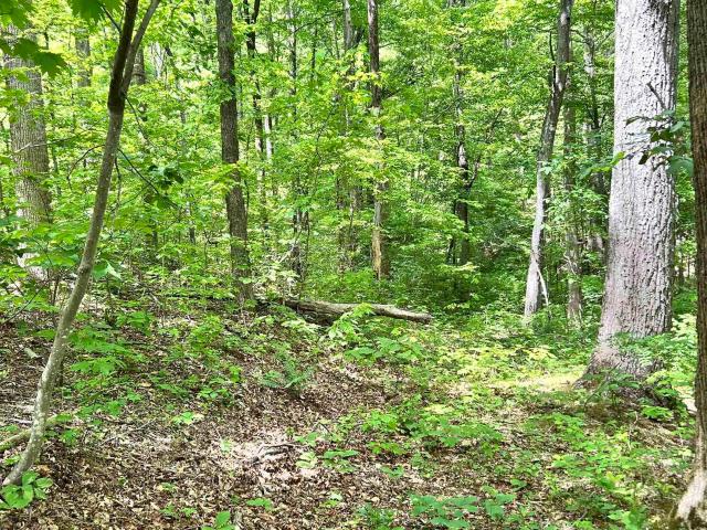 Lots and Land: MLS #1590