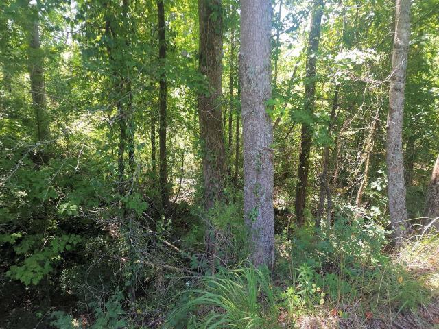 Lots and Land: MLS #1601