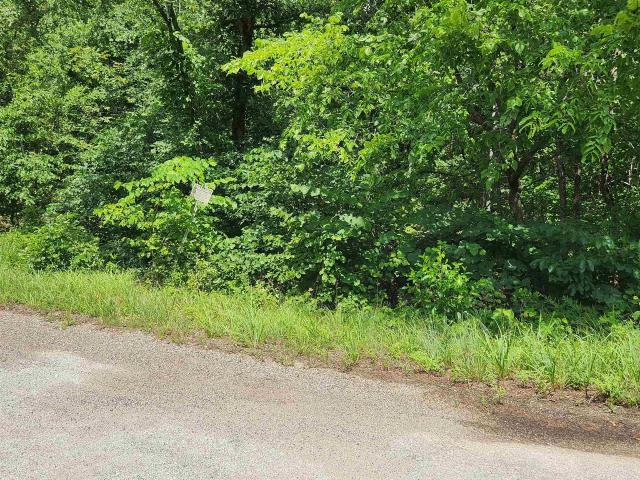 Lots and Land: MLS #25044