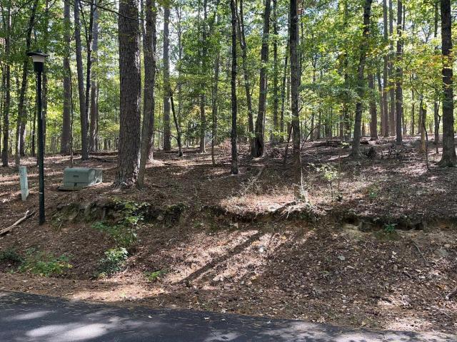 Lots and Land: MLS #25048