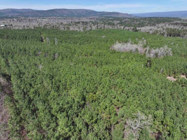 Lots and Land: MLS #25049