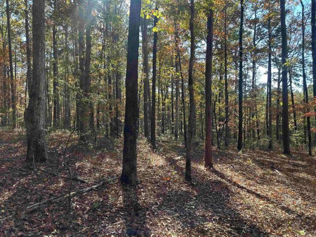 Lots and Land: MLS #25049