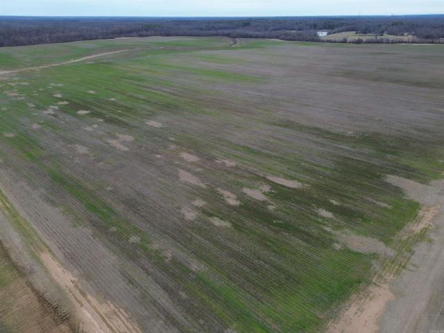 Lots and Land: MLS #25002