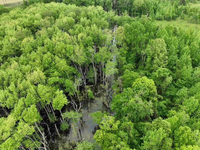 Lots and Land: MLS #25016