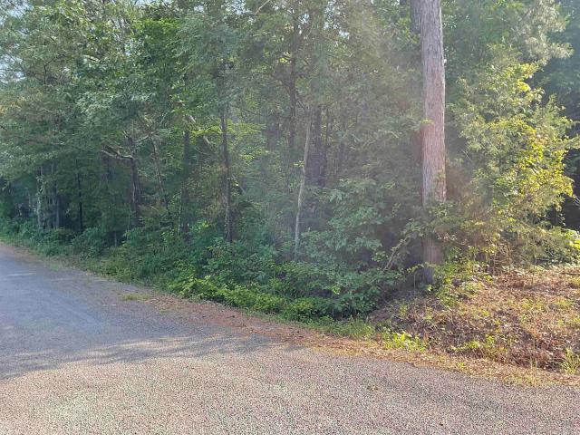 Lots and Land: MLS #25020