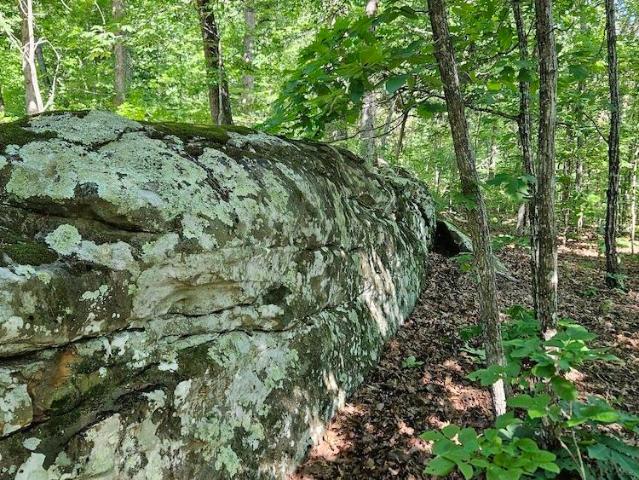 Lots and Land: MLS #25021