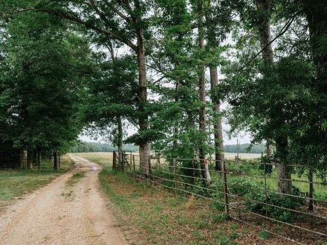 Lots and Land: MLS #25022