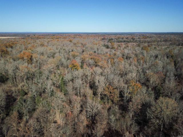 Lots and Land: MLS #25033