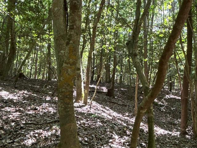 Lots and Land: MLS #25035