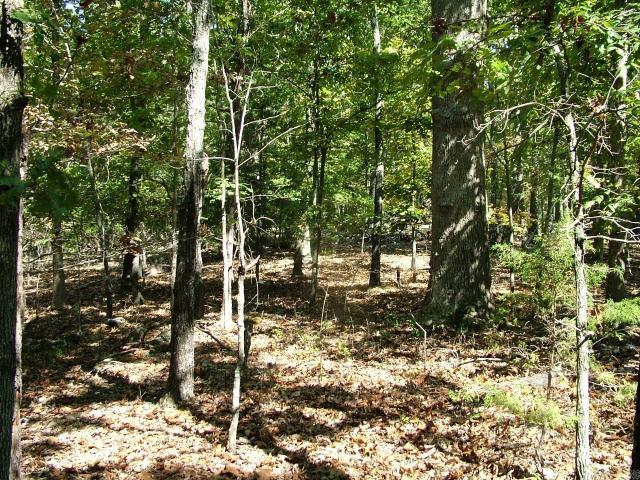 Tract D Rocky Ridge Road