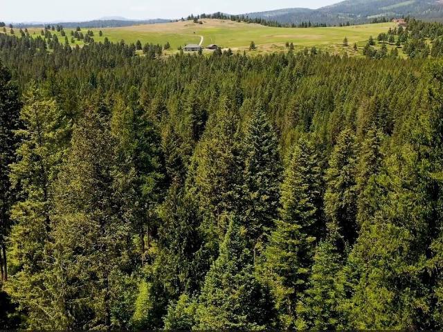 Lots and Land: MLS #2525