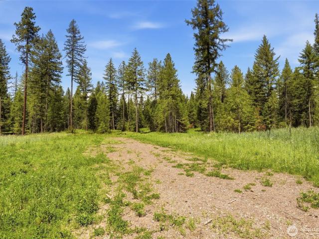Lots and Land: MLS #2542