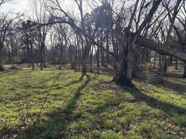 Lots and Land: MLS #26003