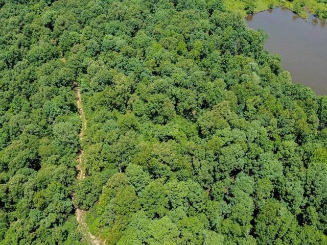 Lots and Land: MLS #26000
