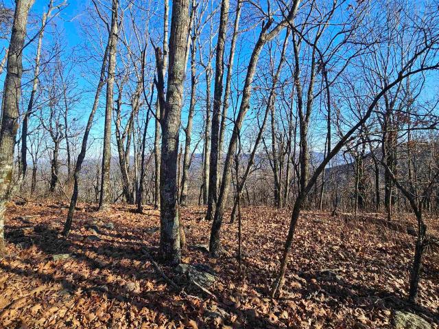 Lots and Land: MLS #26000