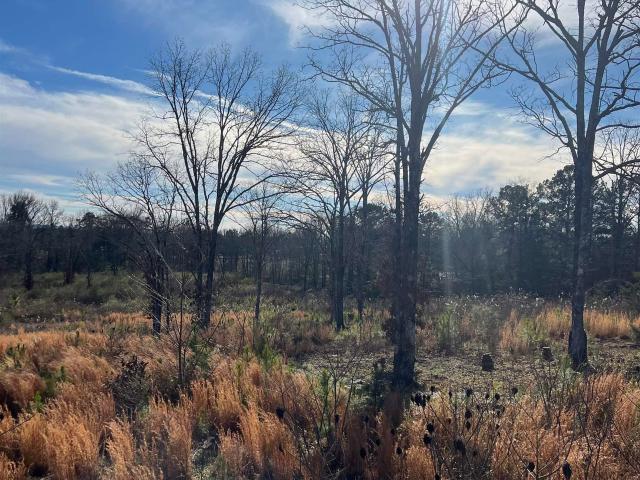 Lots and Land: MLS #26002