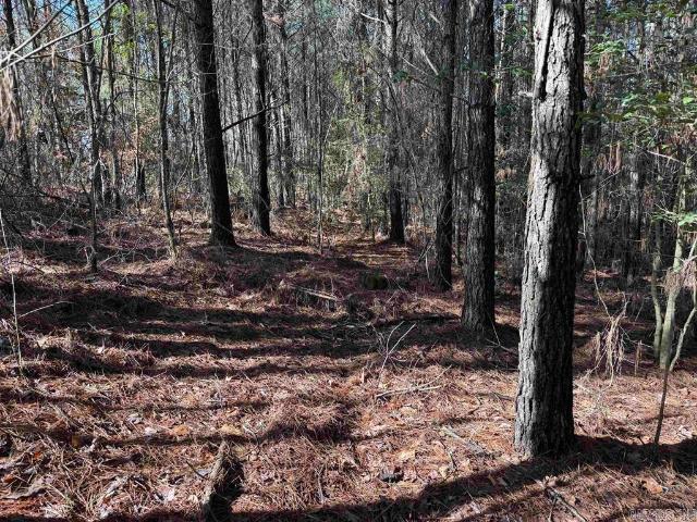 Lots and Land: MLS #26007
