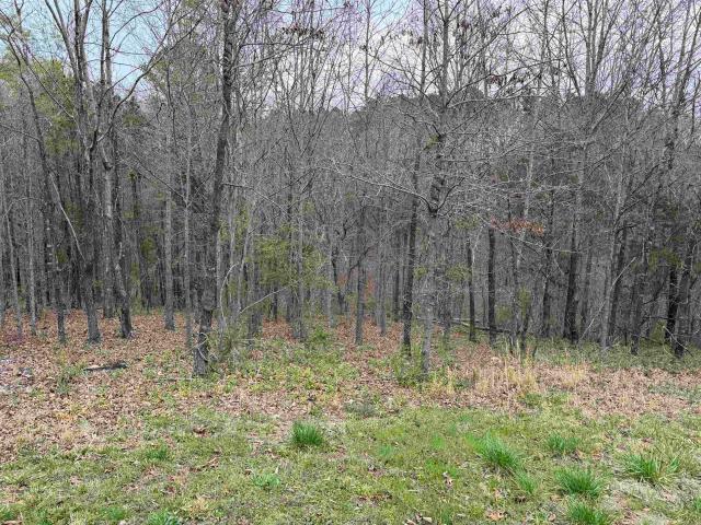 Lots and Land: MLS #26004