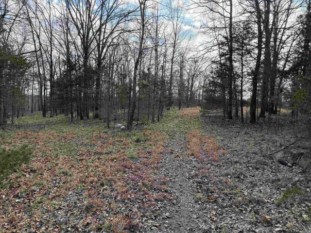 Lots and Land: MLS #26006