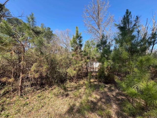 Lots and Land: MLS #26008