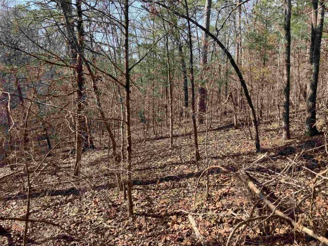 Lots and Land: MLS #26008