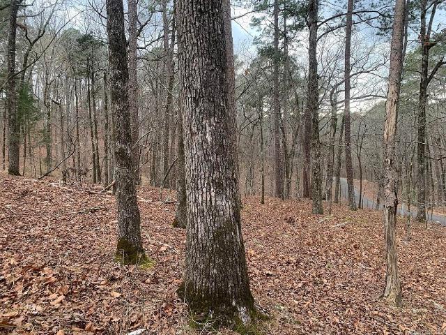 Lots and Land: MLS #26008