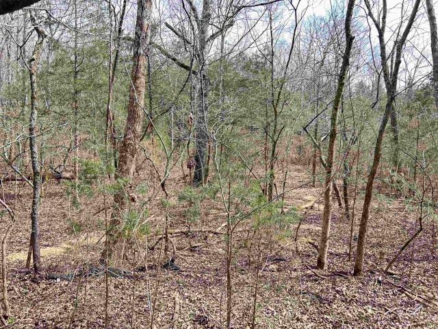 Lots and Land: MLS #26010