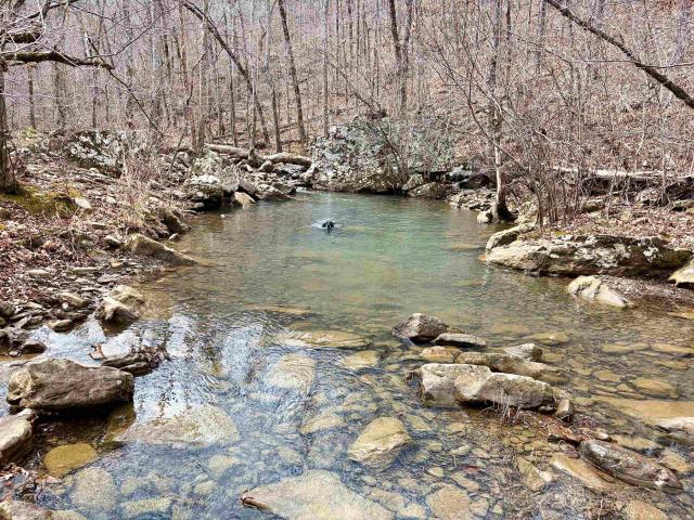 Lots and Land: MLS #26010