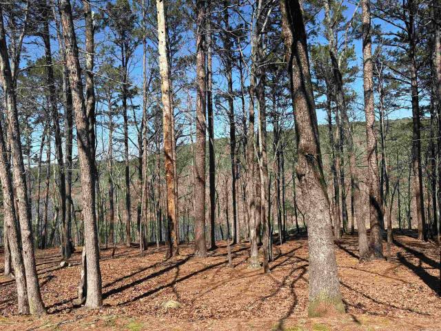Lots and Land: MLS #26011