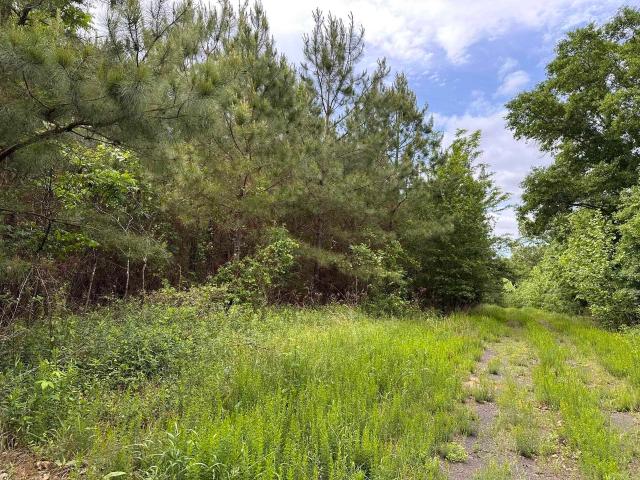 Lots and Land: MLS #26017