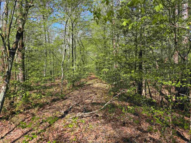 Lots and Land: MLS #26014