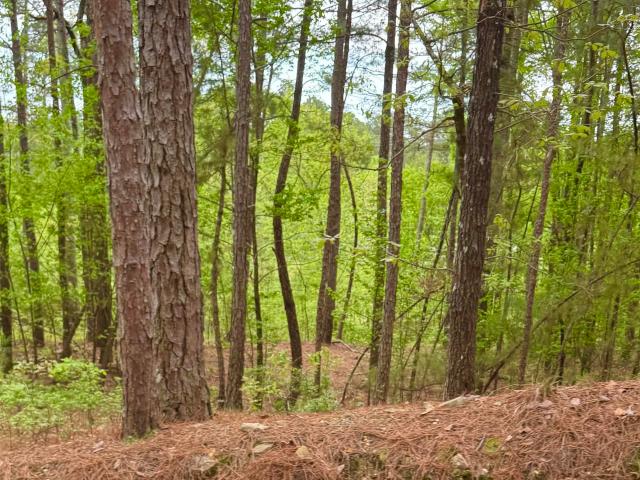 Lots and Land: MLS #26015