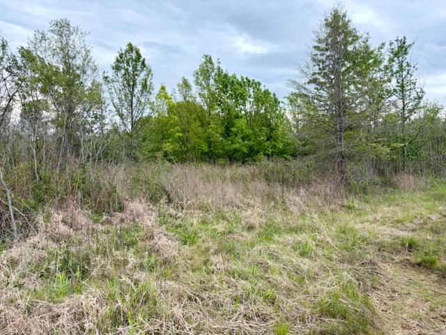 Lots and Land: MLS #26015