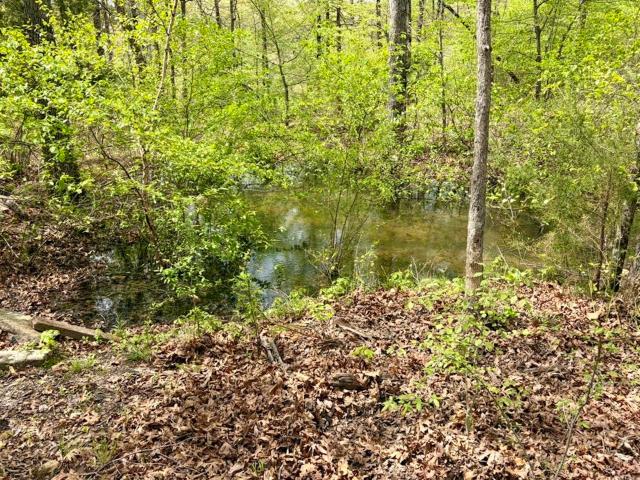Lots and Land: MLS #26015