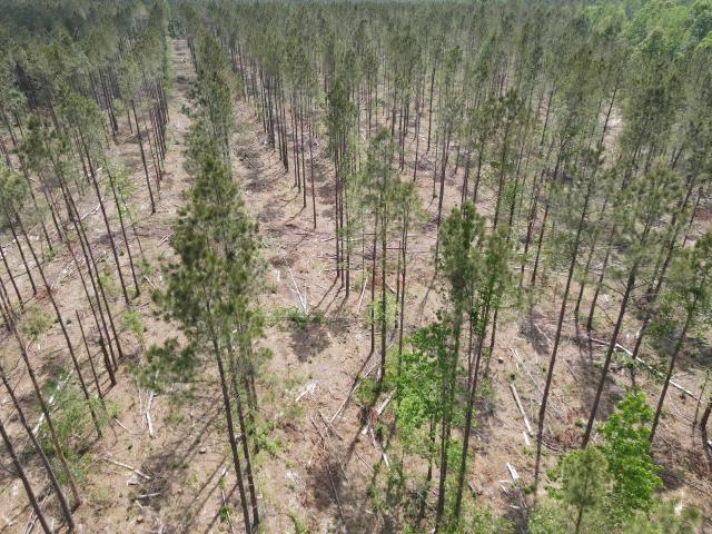 Lots and Land: MLS #26016