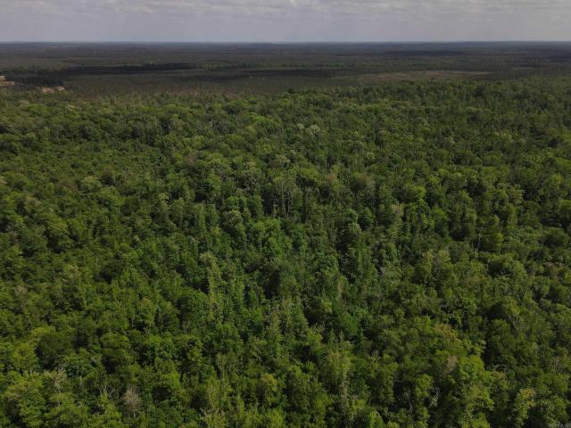 Lots and Land: MLS #26016