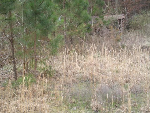 Lots and Land: MLS #26016