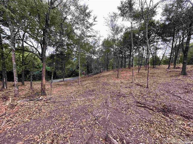 Lots and Land: MLS #26018